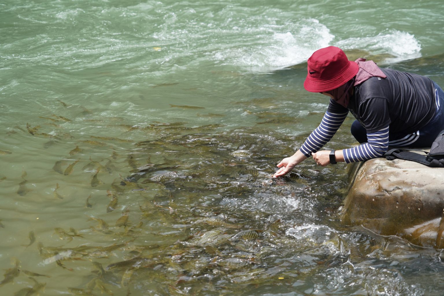 Pengalaman Meninjau Sistem Tagal di Penampang, Sabah: Menggambarkan ...